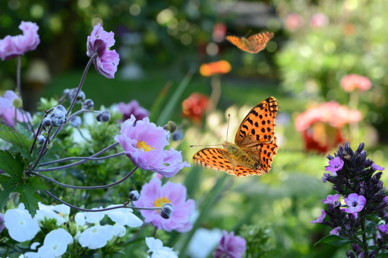 Your free Butterfly Garden guide - Pond and Garden Ideas
