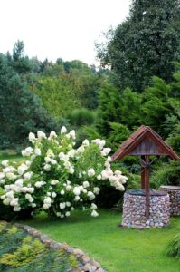 Colorful Hydrangeas: See How to Add Them to Your Landscape - Pond and ...